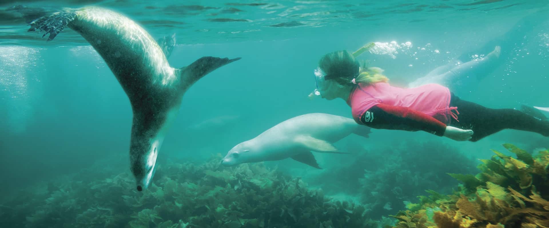 SA's ultimate family-friendly aquatic activities | samotor The RAA Magazine