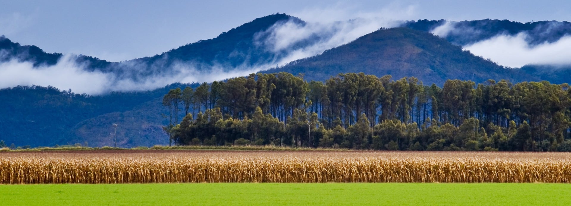 Mountains of marvel, Atherton Tablelands | samove The RAA Magazine