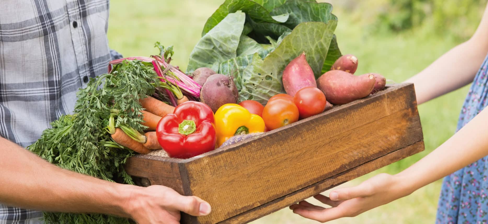 Foodbank: Helping SA’s hungry | samotor The RAA Magazine