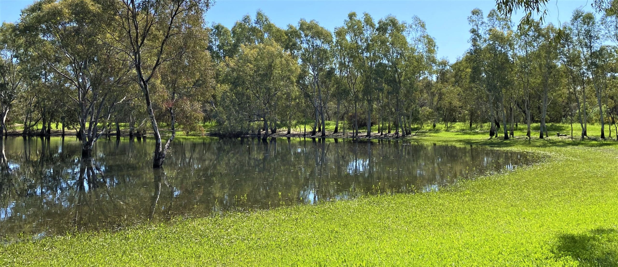 6 features of the Adelaide Park Lands | samotor The RAA Magazine
