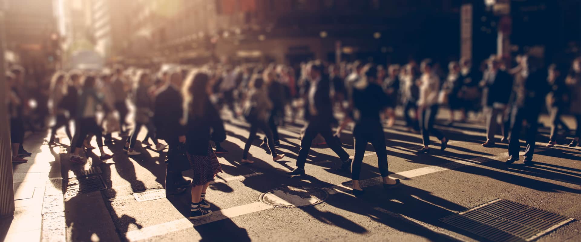 5 tips to keep pedestrians safe | samotor The RAA Magazine