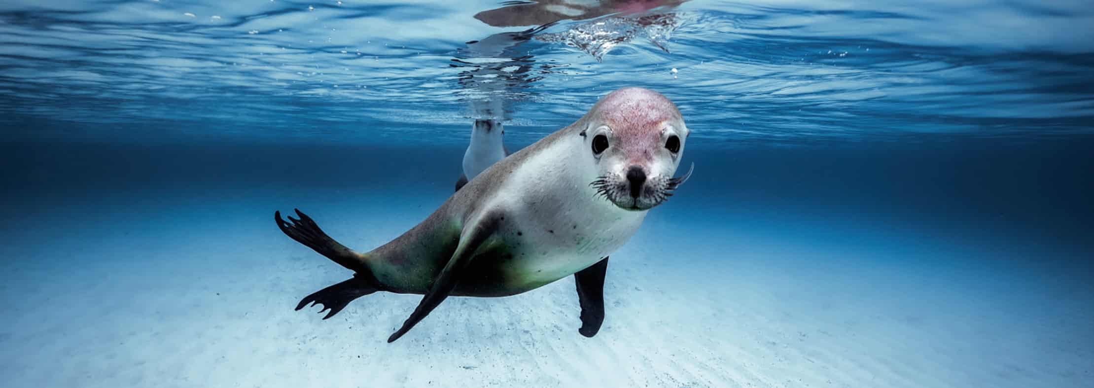 Treasures of South Australia | samotor The RAA Magazine