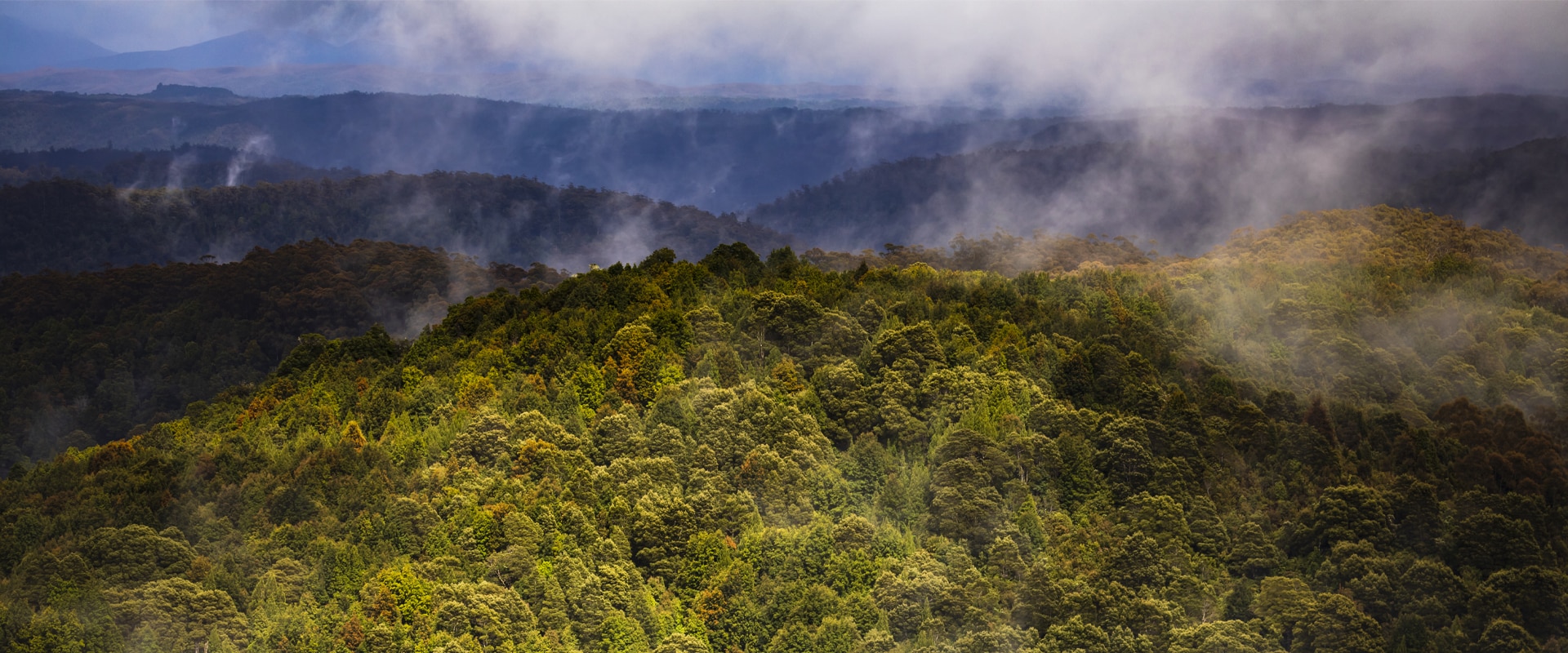 Wild West Tasmania | samotor The RAA Magazine