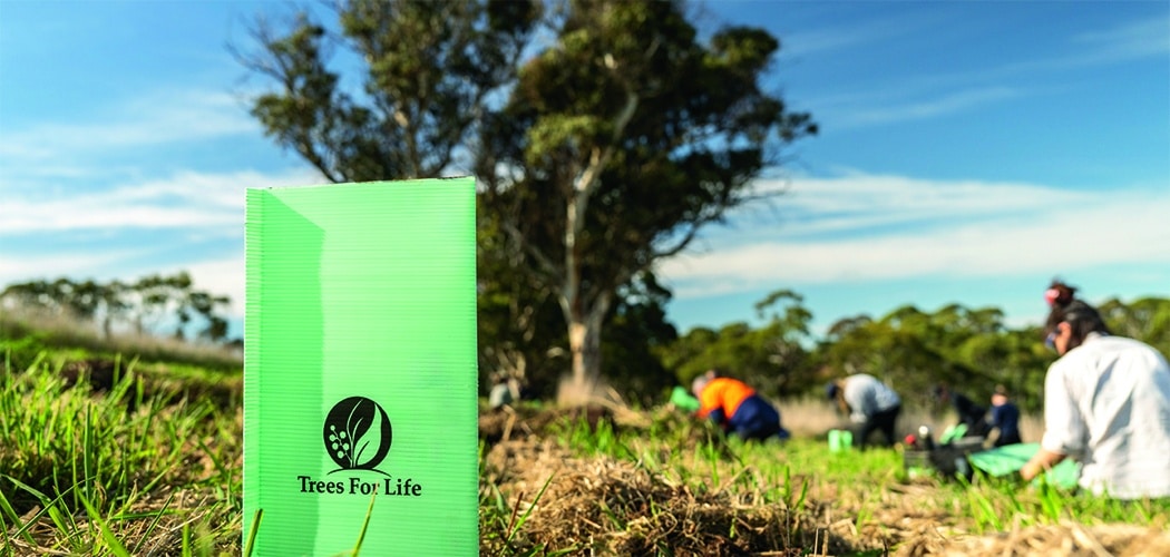 3 ways to help keep SA green | sa move The RAA Magazine