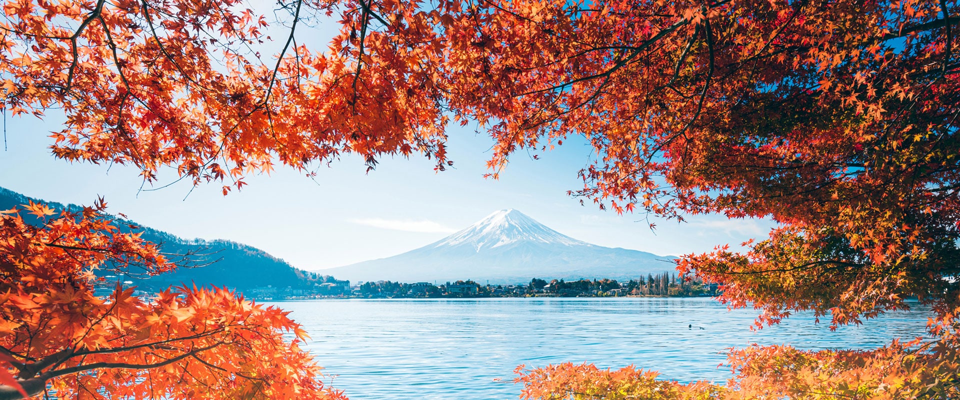 Japan for all seasons | sa move The RAA Magazine