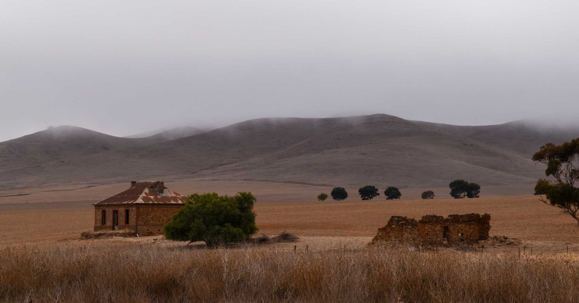 On the EV road again | sa move The RAA Magazine