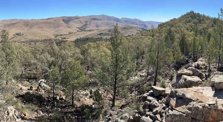 On the EV road again | sa move The RAA Magazine