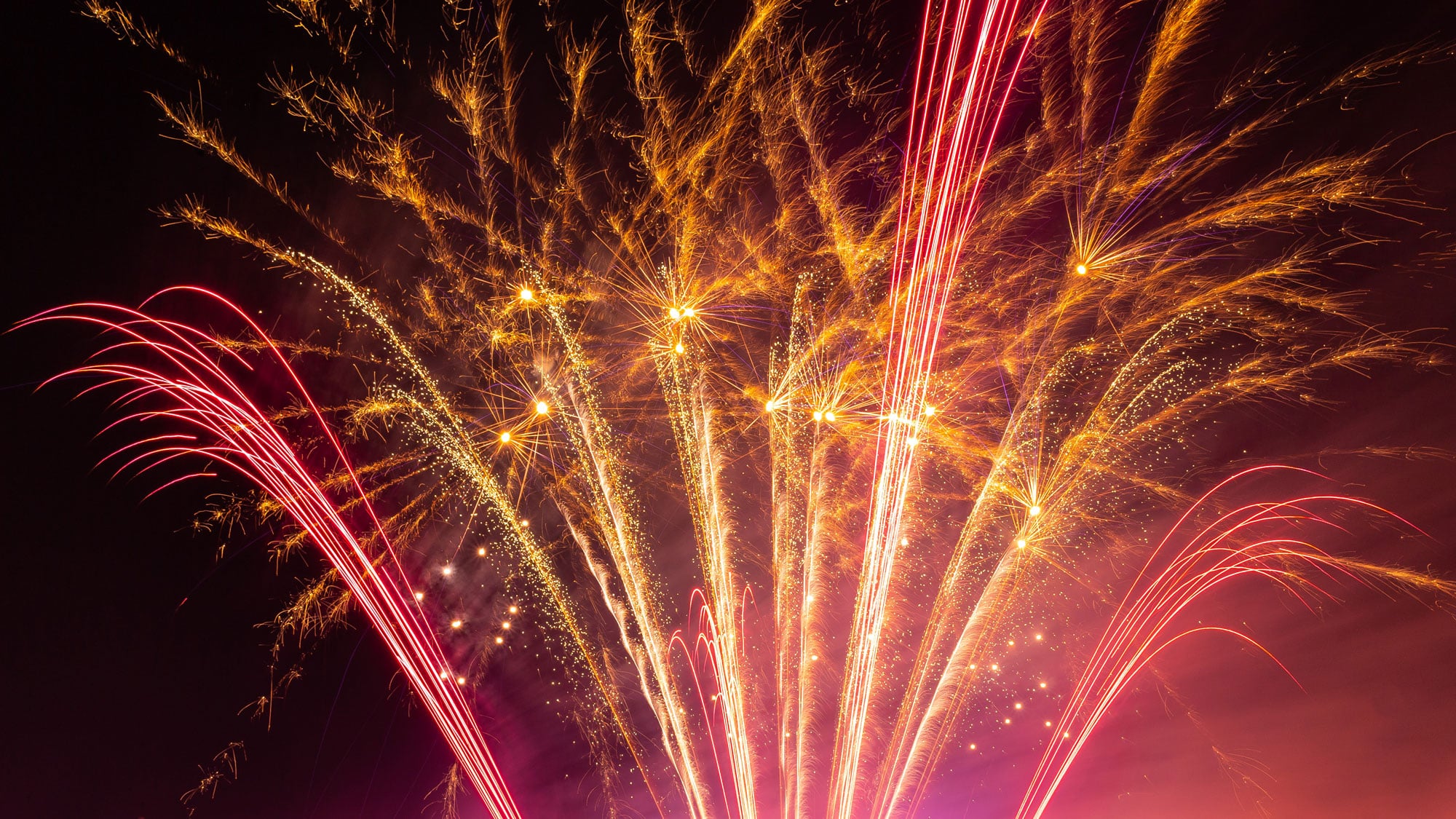 SA events to mark on your calendar | sa move The RAA Magazine